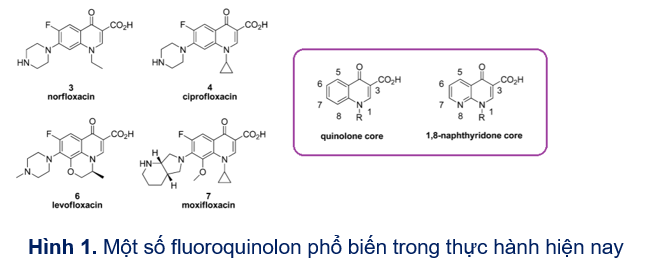 BỆNH VIỆN TRƯỜNG ĐẠI HỌC Y DƯỢC CẦN THƠ - BENH VIEN TRUONG DAI HOC Y ...